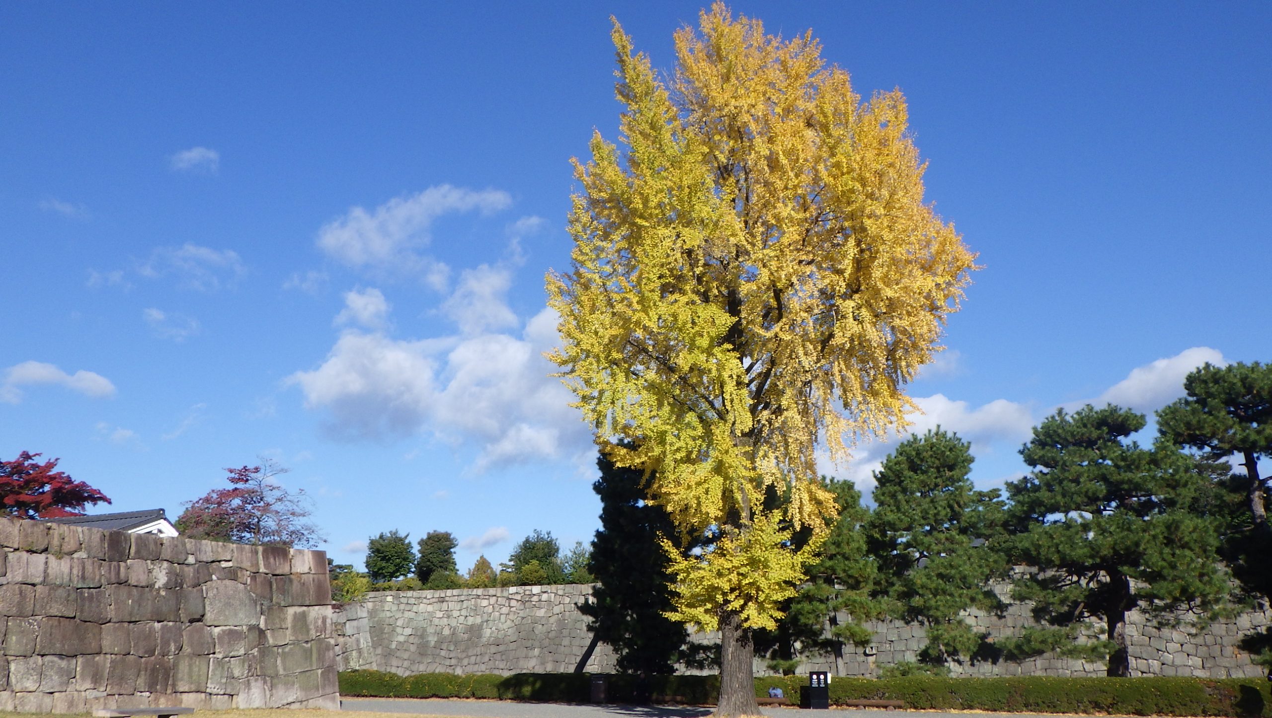 RIMG0124 | World Heritage Site Former Imperial Villa Nijo-jo Castle ...